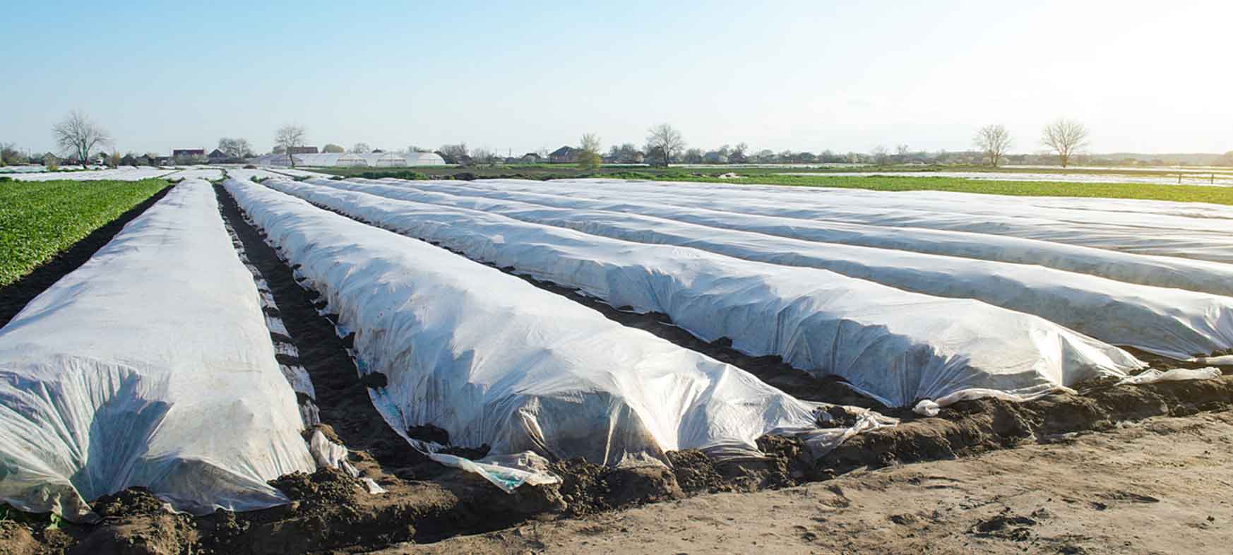 Protecting Your Crops With Agricultural Fabrics | Belton Industries