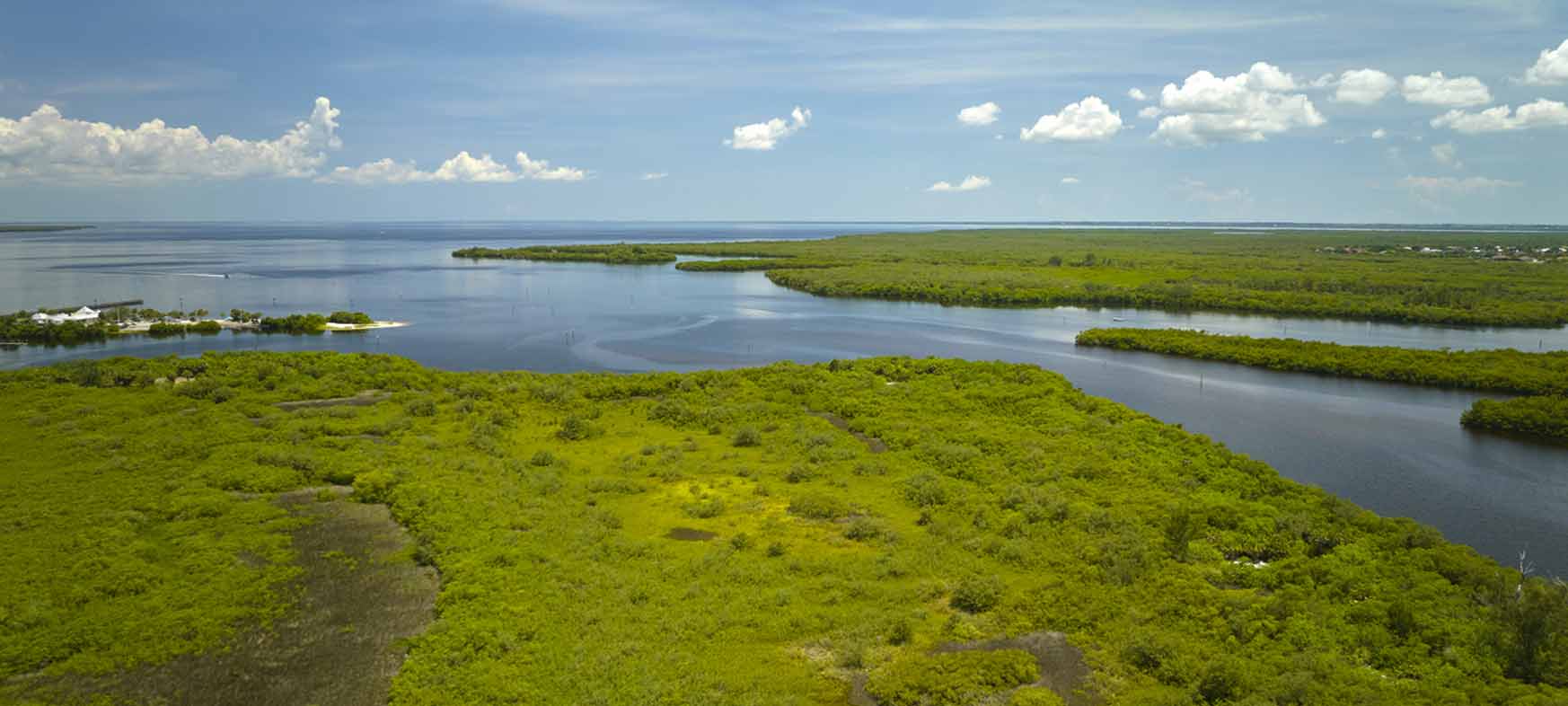 Partnering to Protect the Wetlands | Belton Industries