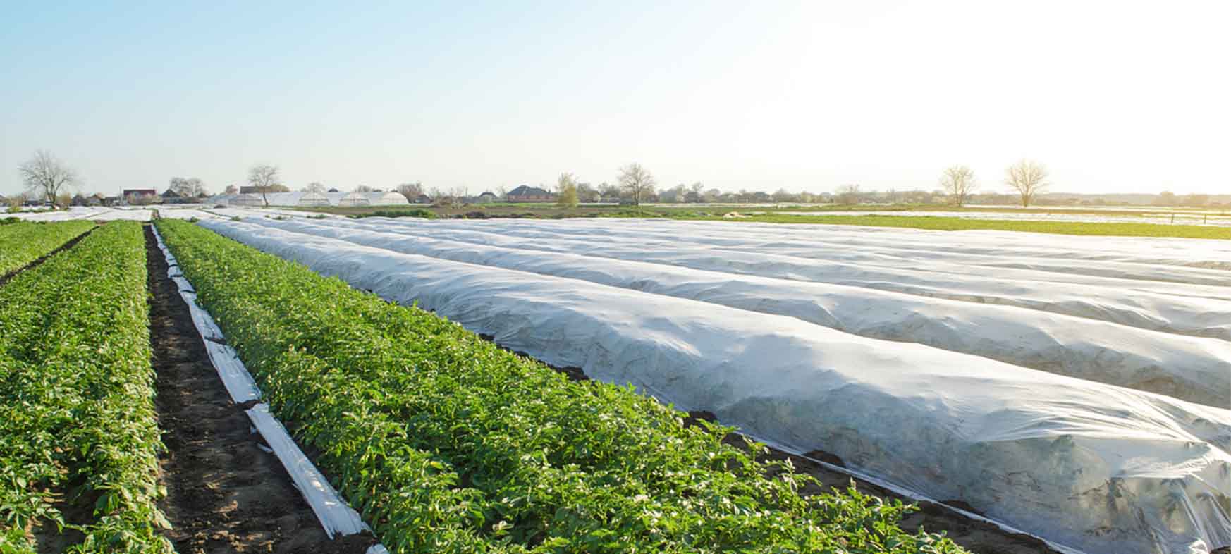 How Agricultural Fabrics Can Safeguard Your Crops | Belton Industries
