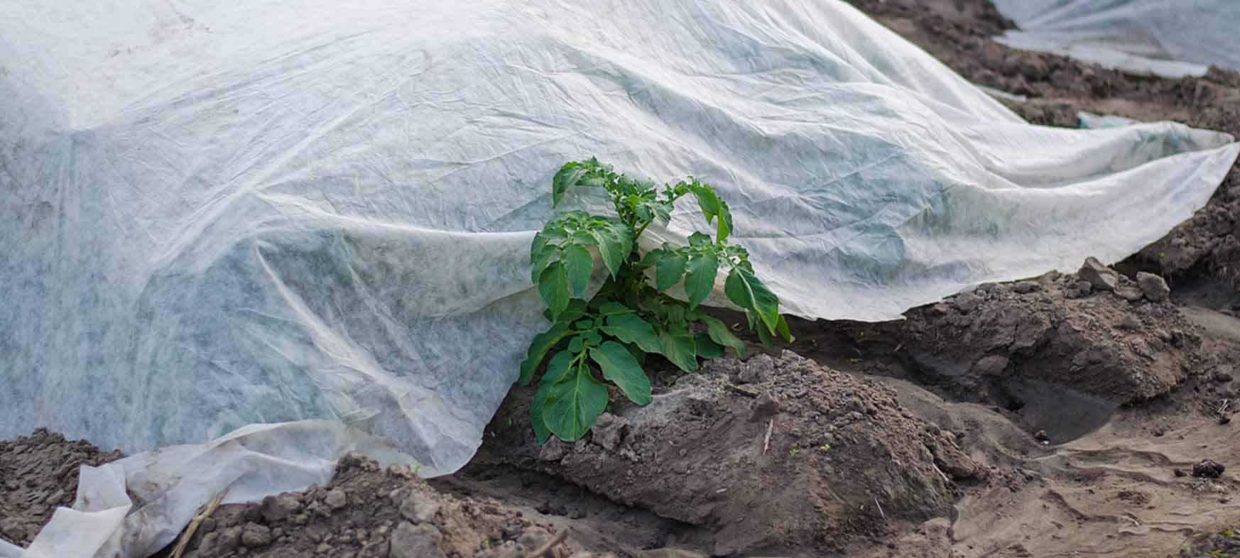 How to Protect Your Crops Throughout the Seasons | Belton Industries