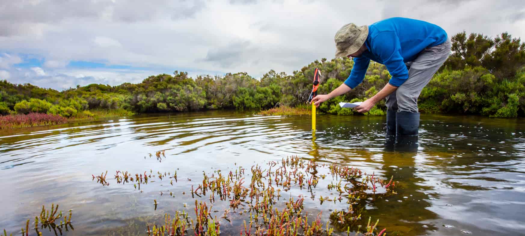 Wetland Restoration and Enhancement | Belton Industries